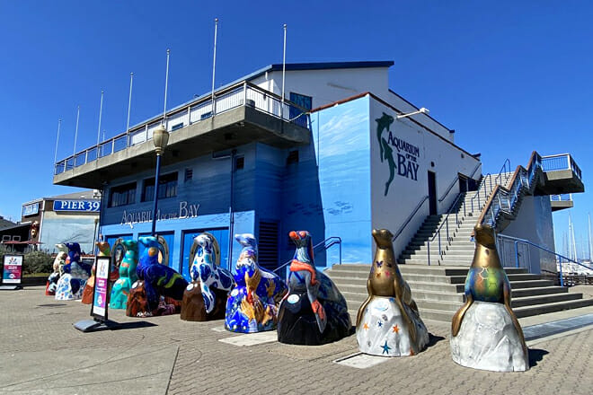 Aquarium of the Bay