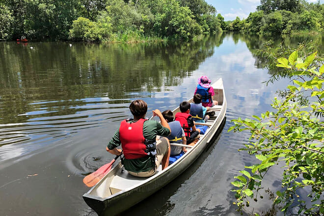 Armand Bayou Paddling Trail