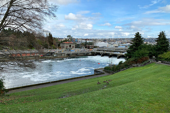 Ballard Locks