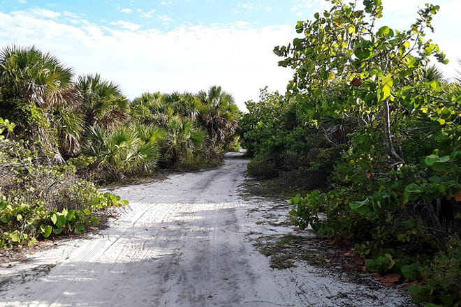 Bear Cut Nature Preserve
