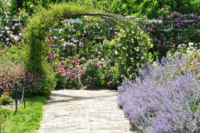 Brooklyn Botanic Garden