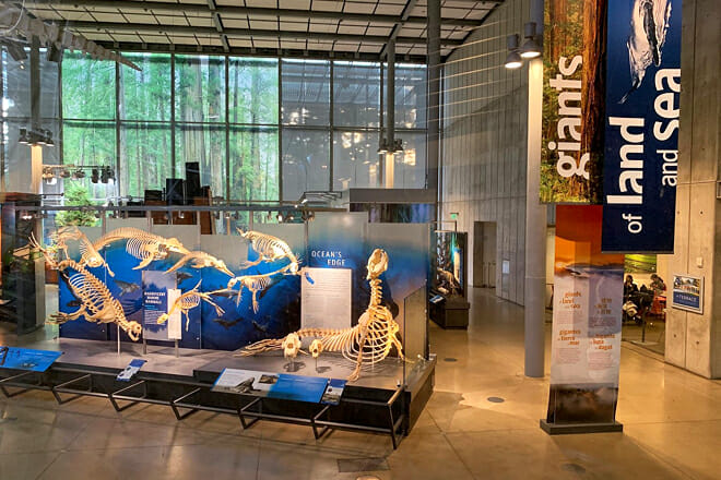 California Academy of Sciences