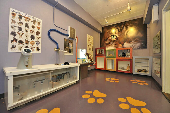 Children's Museum Tucson