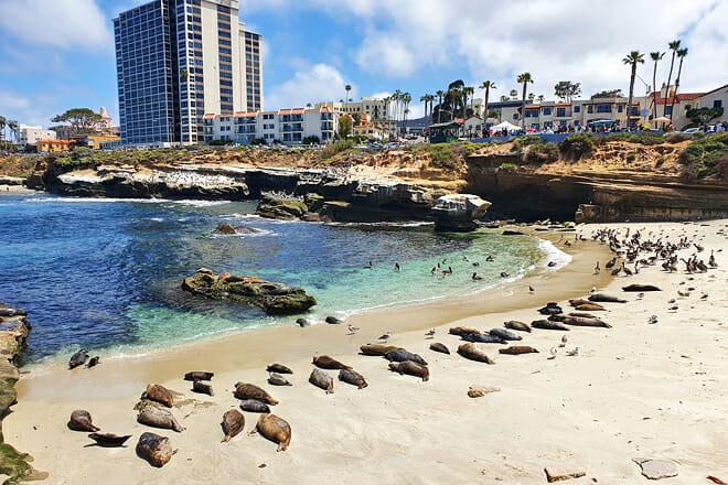 Children's Pool Beach