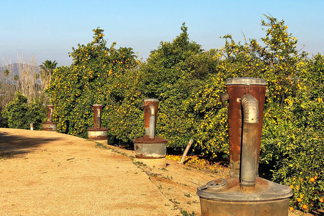 Citrus State Historic Park