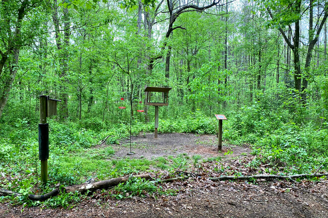 Clyde Shepherd Nature Preserve