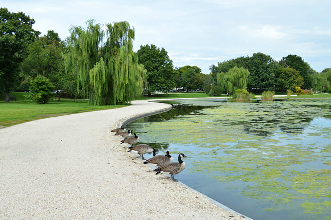 Constitution Gardens