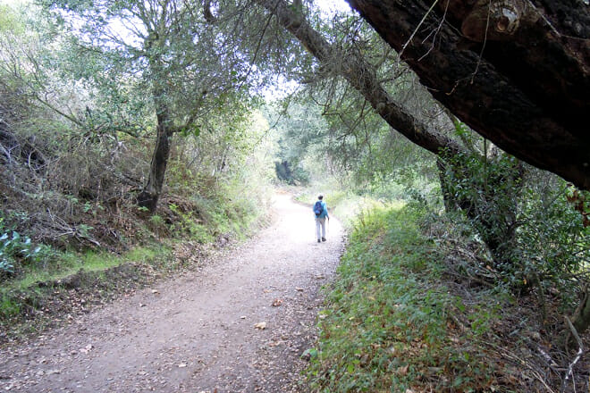 Crystal Cove Perimeter Loop