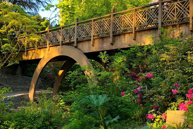 crystal springs rhododendron garden