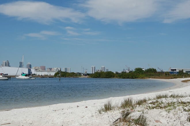 Davis Island Dog Beach