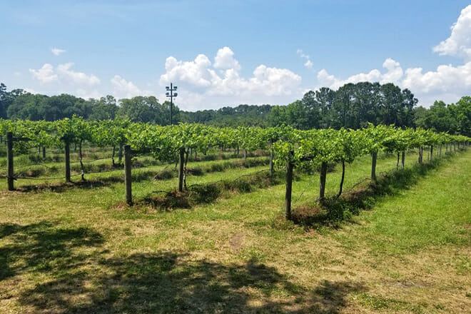 Deep Water Vineyards