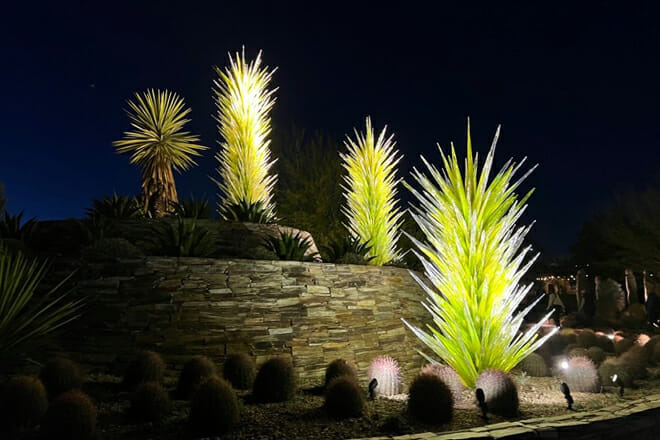 Desert Botanical Garden