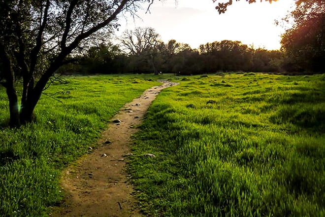 Effie Yeaw Nature Center