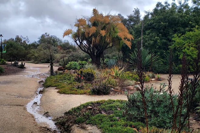 Fullerton Arboretum