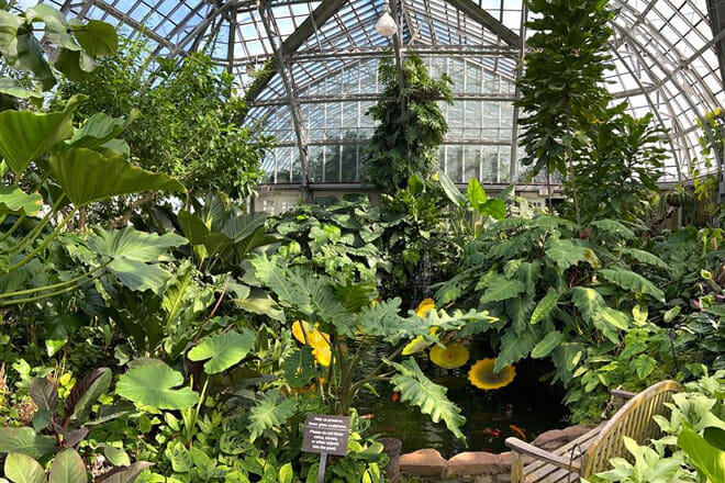 Garfield Park Conservatory