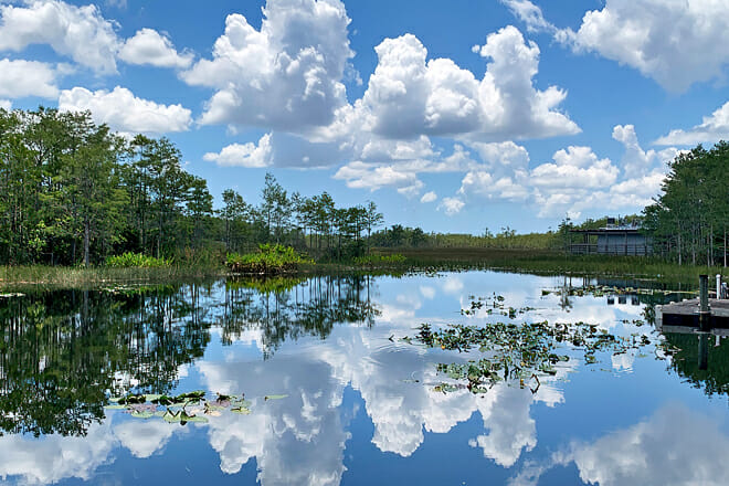 grassy waters nature preserve