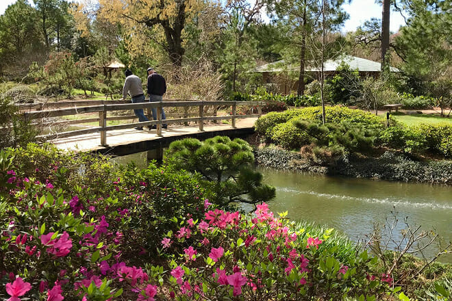 Hermann Park's Japanese Garden