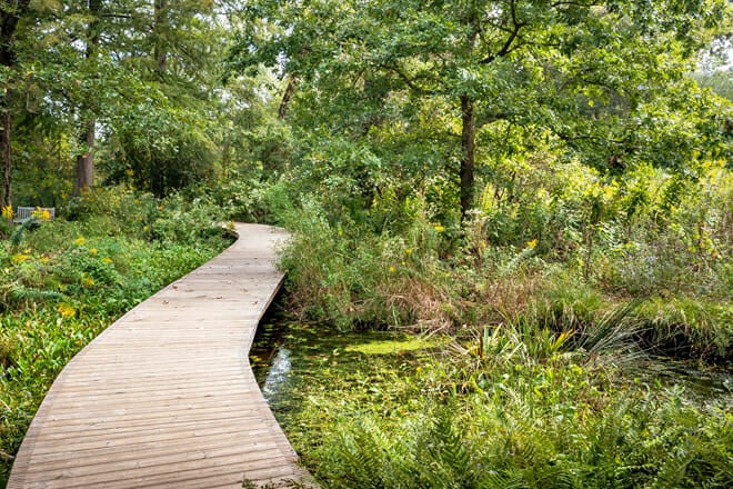 Houston Arboretum And Nature Center