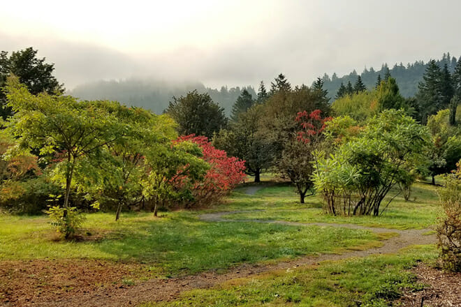 hoyt arboretum