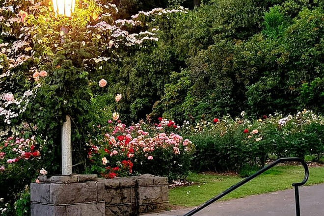 International Rose Test Garden