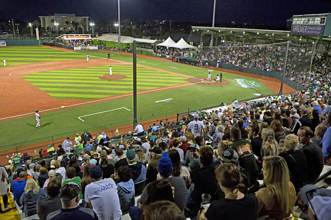 Jackie Robinson Ballpark