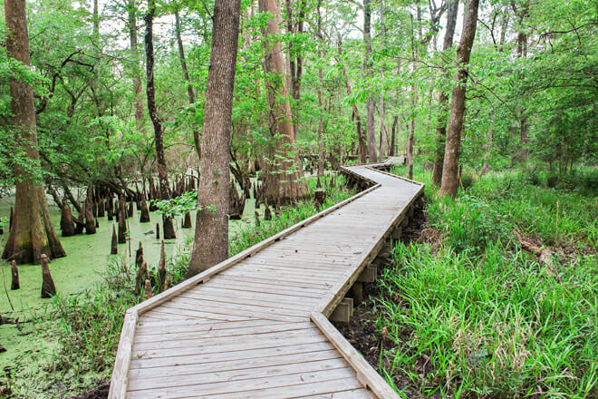 Jesse H Jones Park & Nature Center
