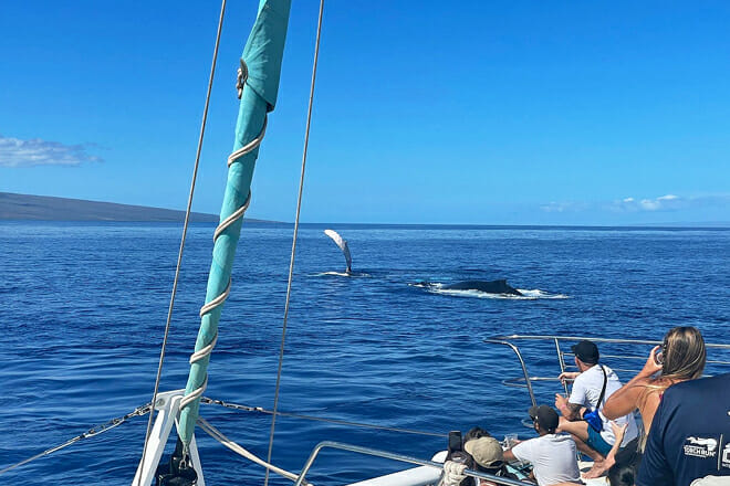 Kaanapali Beach (Whale Watch)