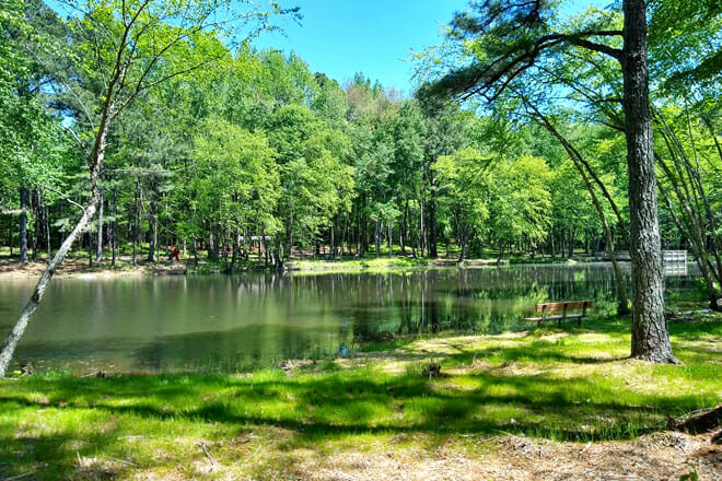 Knightdale Environmental Education Park