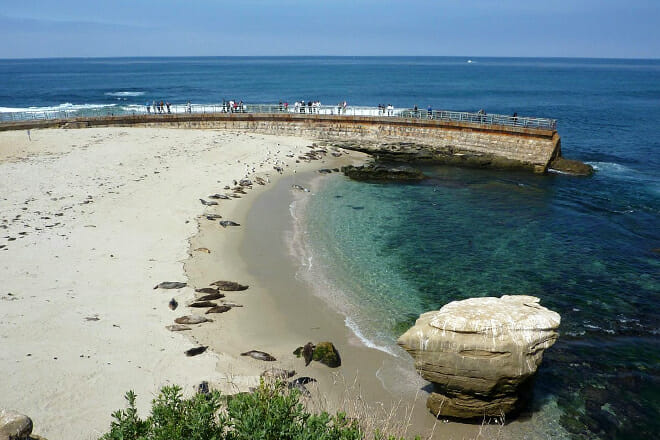La Jolla Cove
