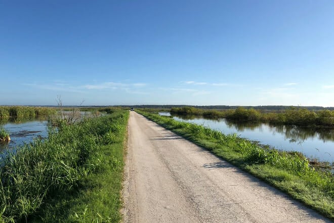 Lake Apopka Wildlife Drive