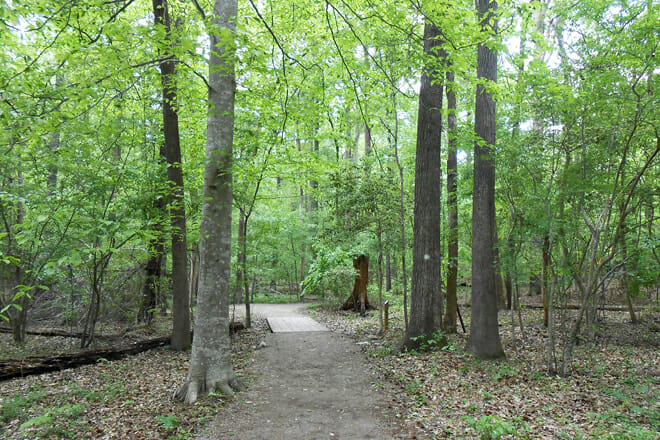 Lake Crabtree County Park