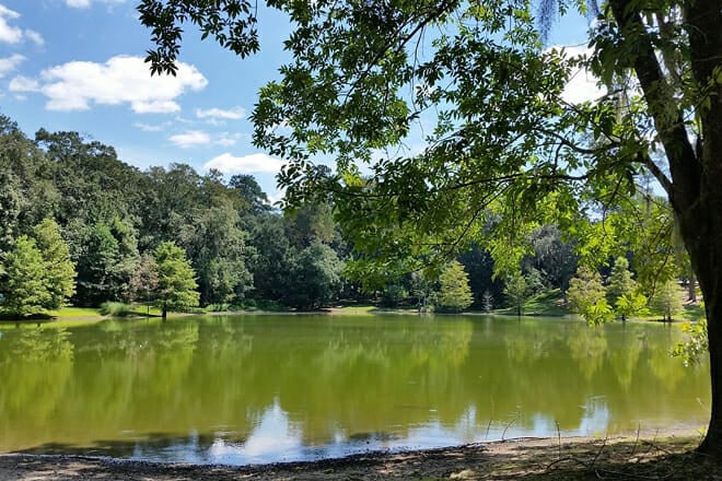 Lake Ella & Fred Drake Park