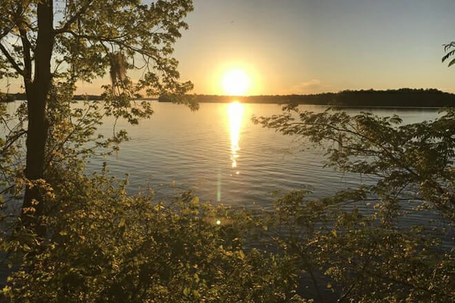 Lake Talquin State Forest