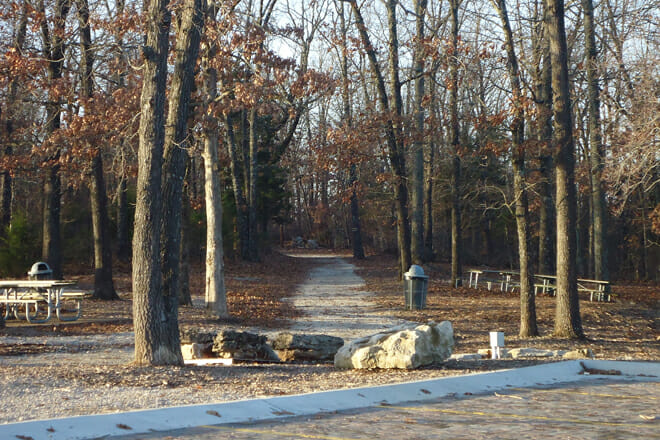 Lakeside Forest Wilderness Area