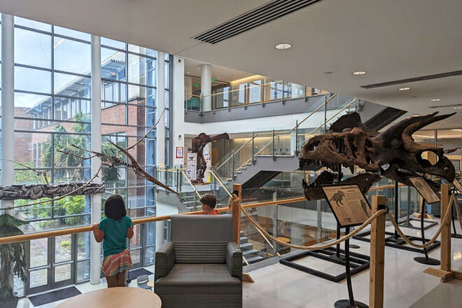 Mace Brown Museum of Natural History