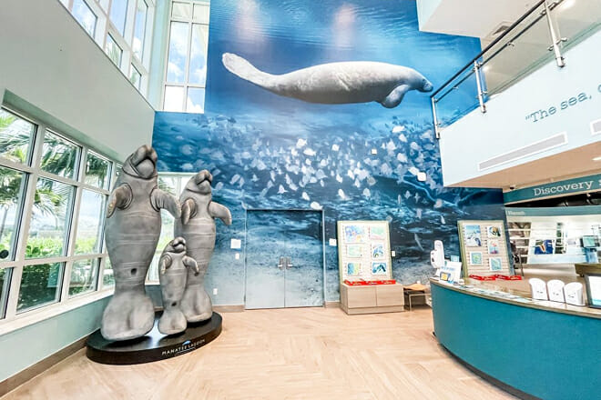 Manatee Lagoon