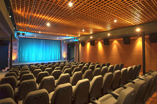 Mary D Fisher Theatre