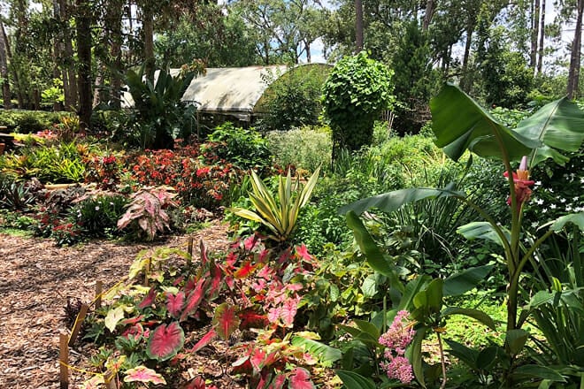 Mead Botanical Garden