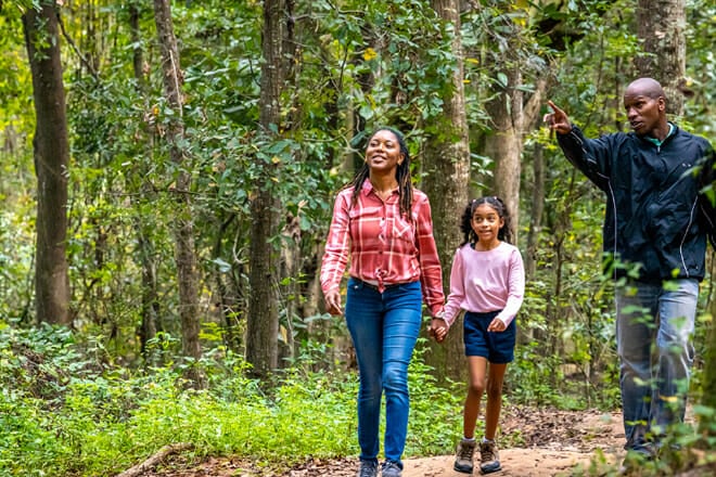 Miccosukee Canopy Road Greenway