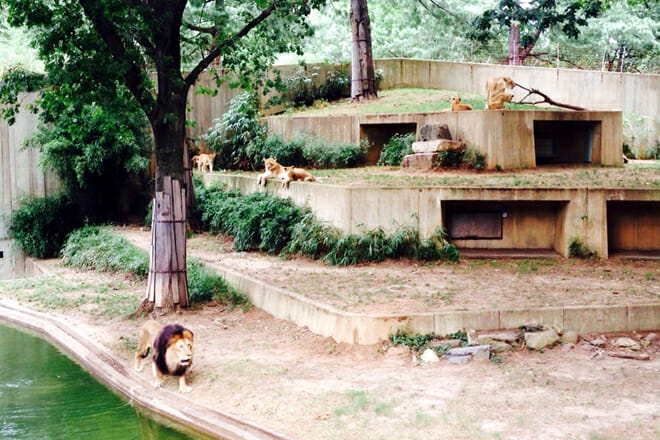 National Zoo