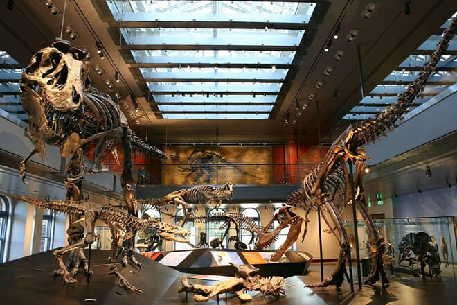 Natural History Museum of LA County