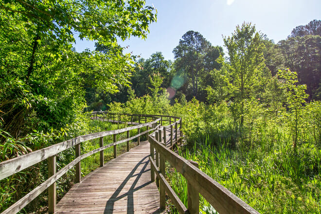 Newman Wetlands Center