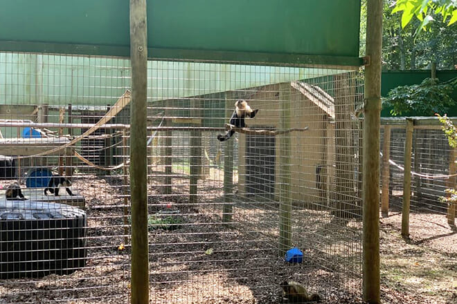 Noah&rsquo;s Ark Animal Sanctuary