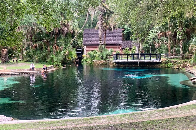 Ocala National Forest