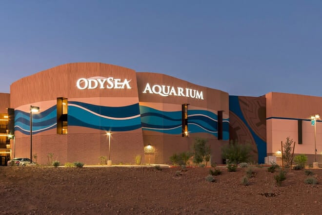 OdySea Aquarium