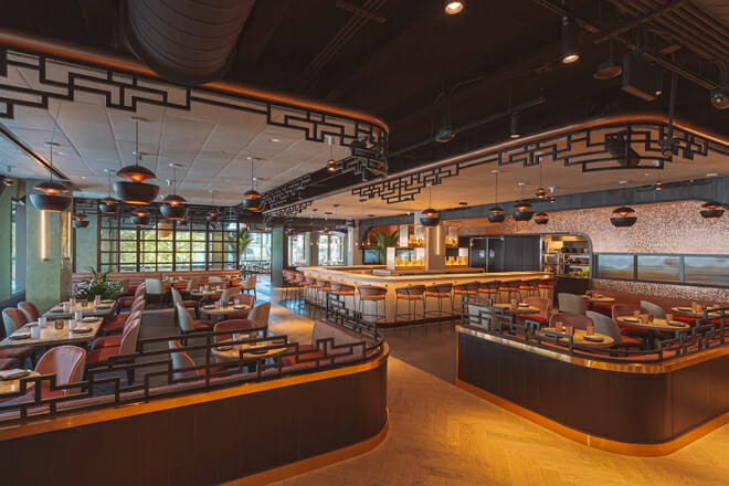 PLANTA Queen Coconut Grove