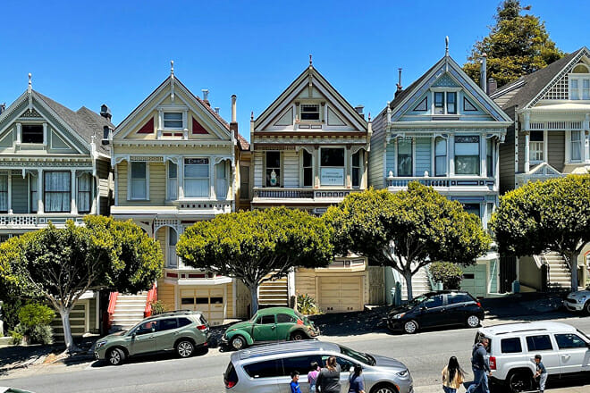 Painted Ladies
