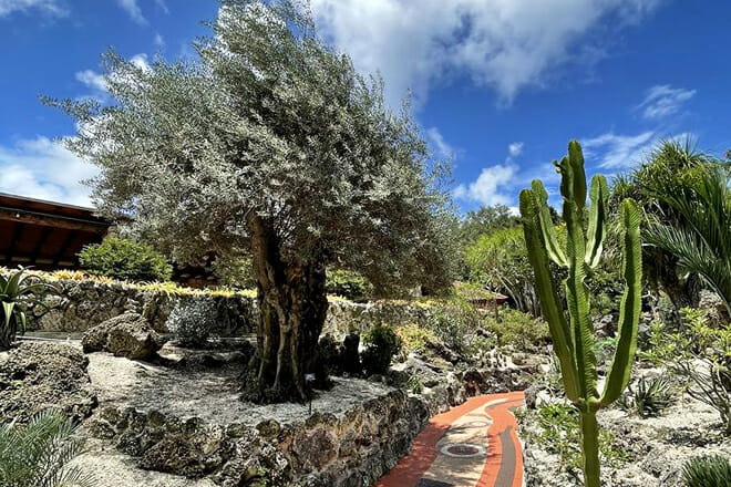 Pinecrest Gardens Fine Arts Festival