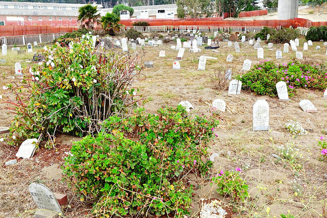 Presidio Pet Cemetery