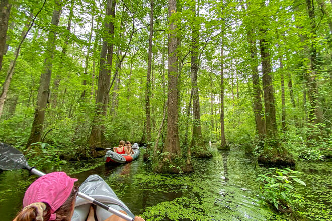 Robertson Millpond Preserve